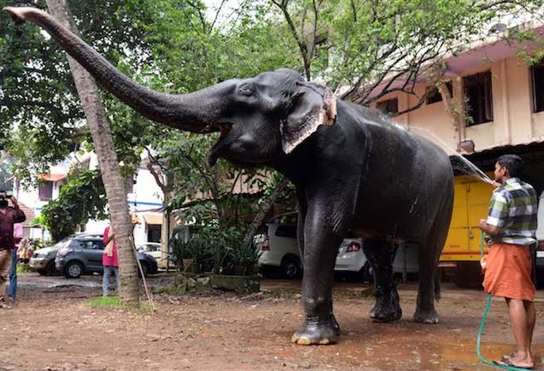 An 88-year-old temple in the Guinness Book of Elephants | கின்னஸ் ...