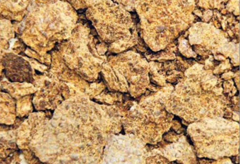 In December punnakku Exports fell by 23% | டிசம்பர் மாதத்தில் ...