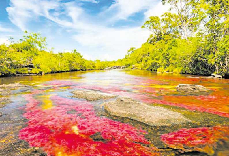 The magic river that appears in the rainbow | வானவில் தோன்றும் ‘மாயநதி’
