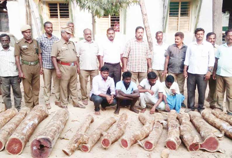 Rs.5.5 lakh worth of Semmaram seized for smuggling; 4 arrested ...