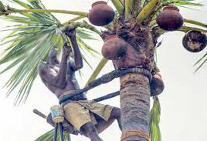 600s pot breaking | கலவை அருகே மரங்களில் கட்டப்பட்டிருந்த 600 கள் ...