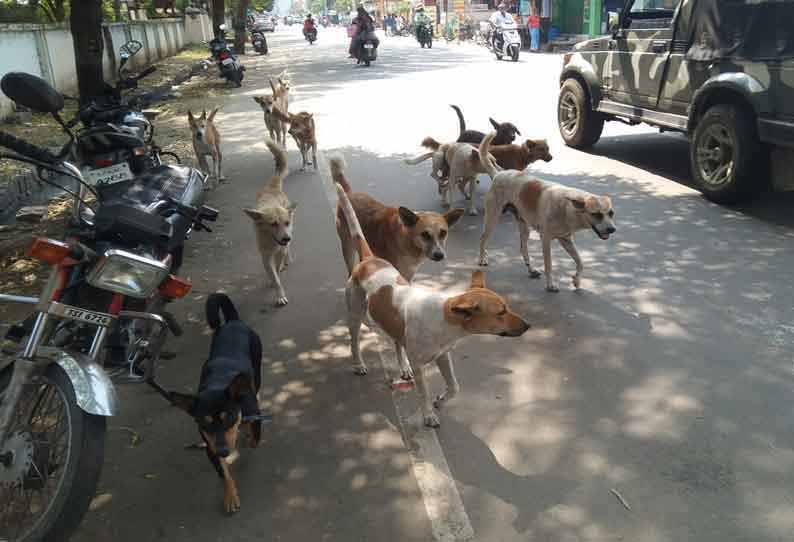 pugar petti | புகாா்பெட்டி