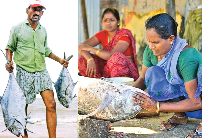 Fish: health risk .. .. | மீன்: ஆரோக்கியமும்.. ஆபத்தும்..