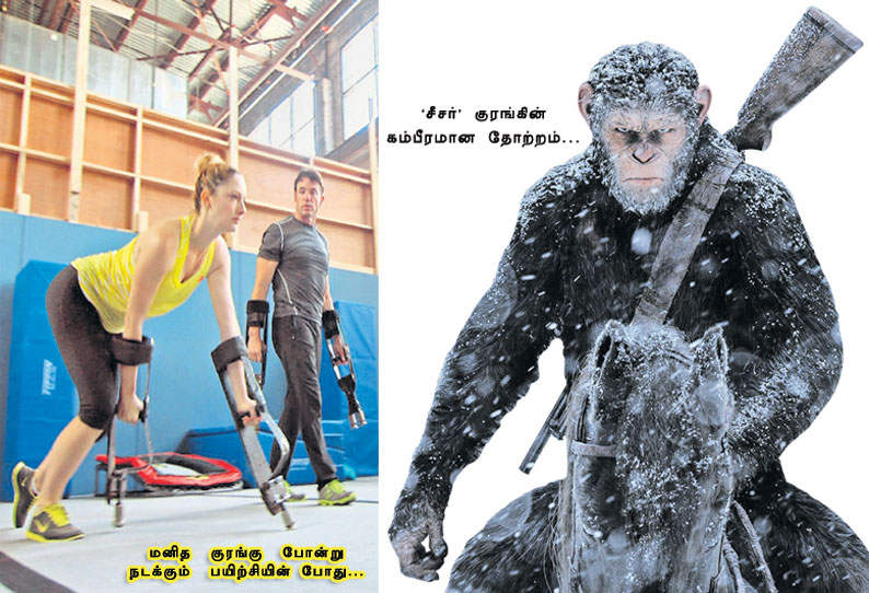 Caesar monkeys action | ‘சீசர்’ குரங்கின் ‘ஆக்‌ஷன்’ அட்டகாசங்கள்..!